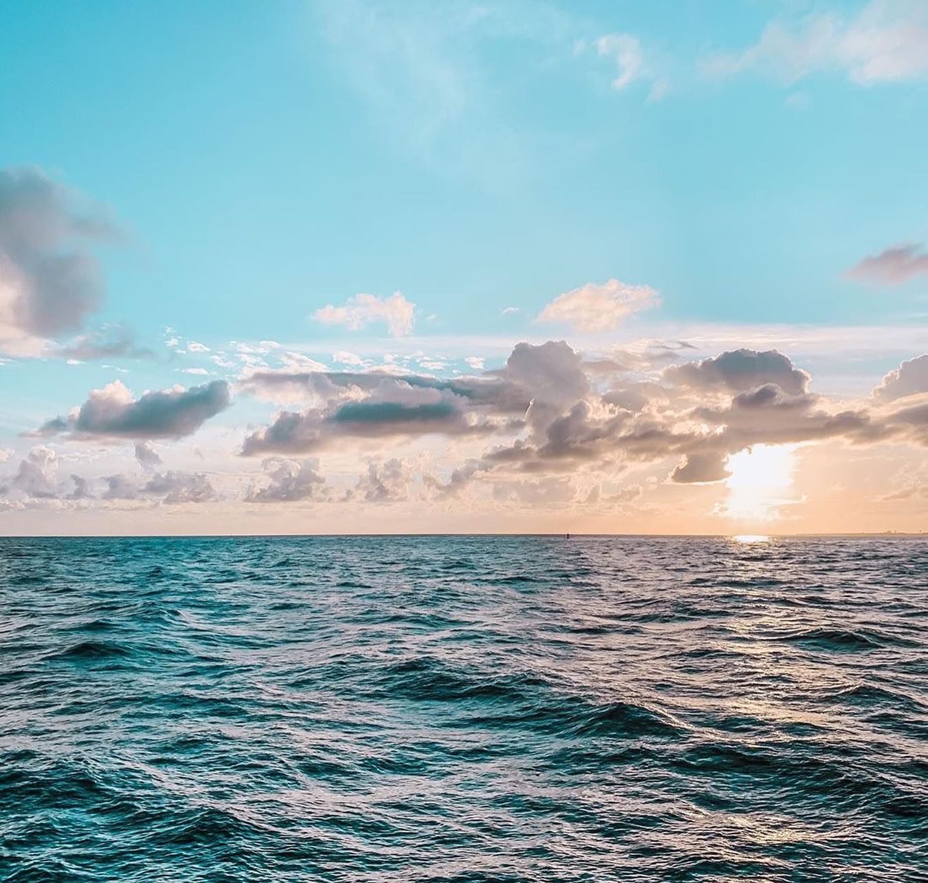 southern star promo code